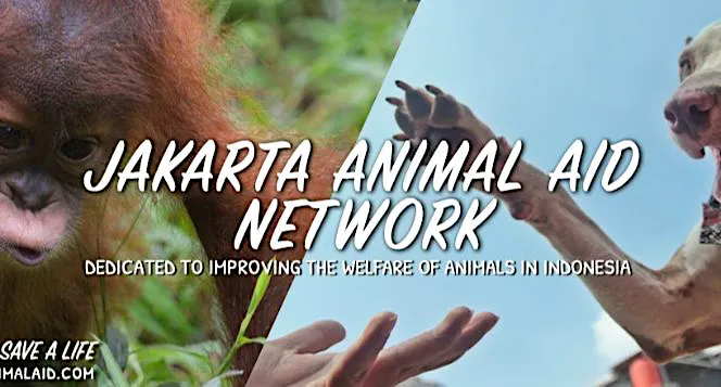 Jakarta Animal Aid Network